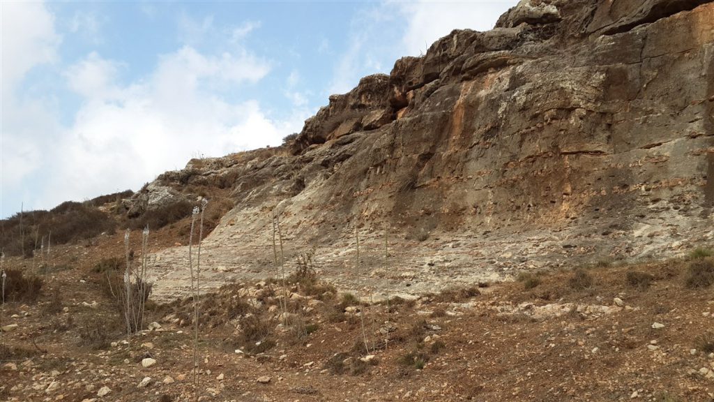 3-%d7%9e%d7%a6%d7%95%d7%a7-%d7%9e%d7%96-%d7%aa%d7%a6-%d7%93%d7%99%d7%a8 ...